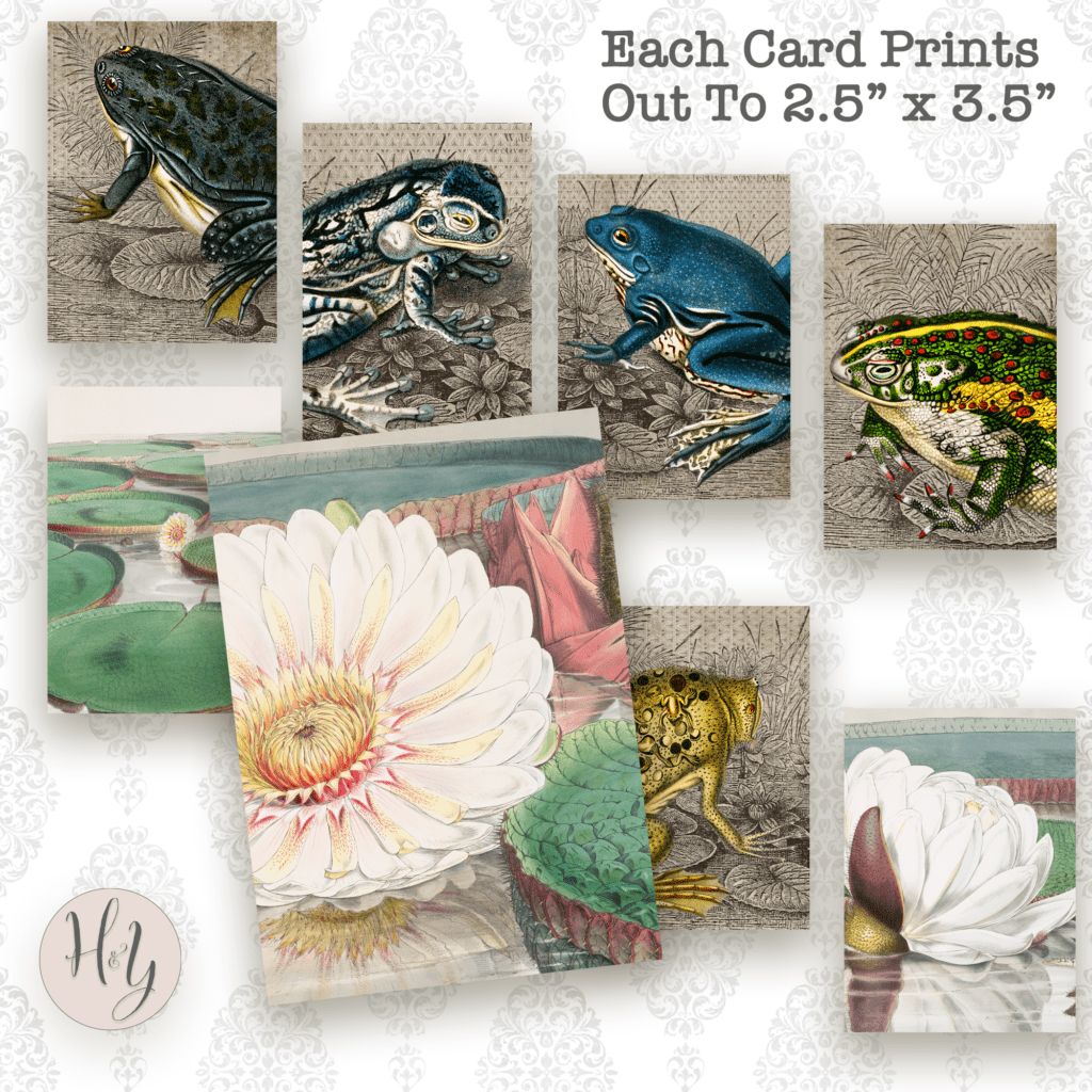 A Frog's Life - Digital Collage Sheet - Hither and Yon Studio