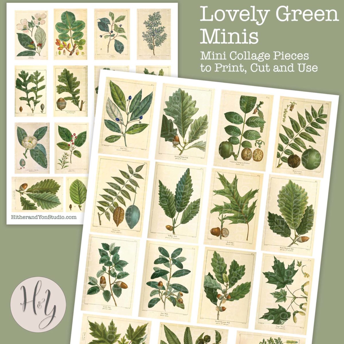 Lovely Mini Green Collage Sheets - Hither and Yon Studio