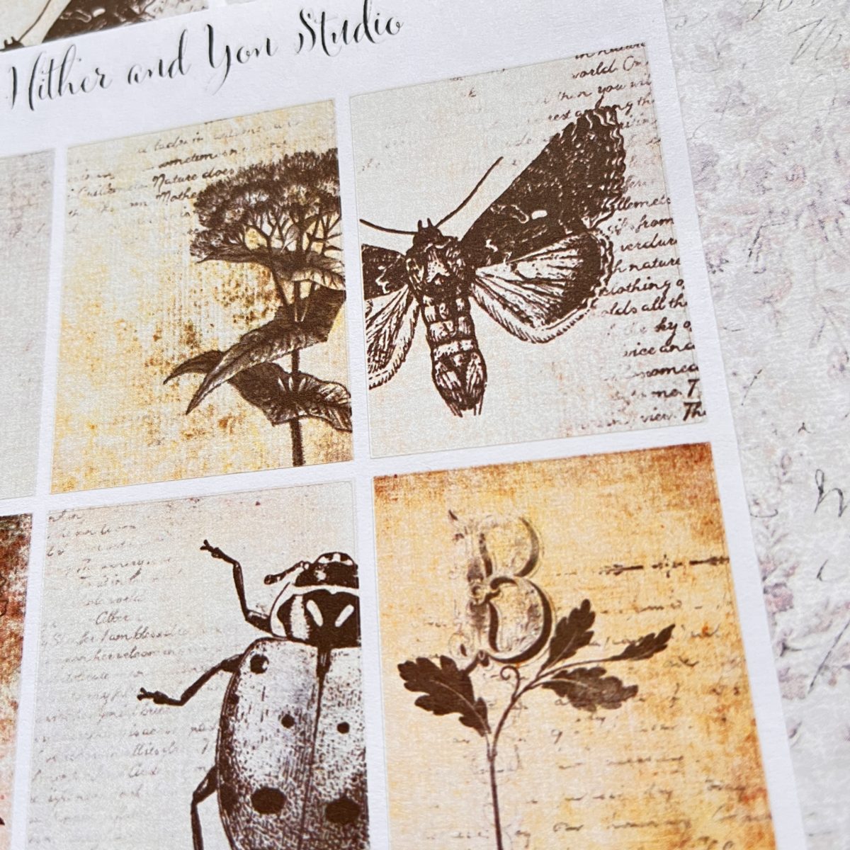 Grungy Sticker Sheets - Flora and Bugs - Hither and Yon Studio