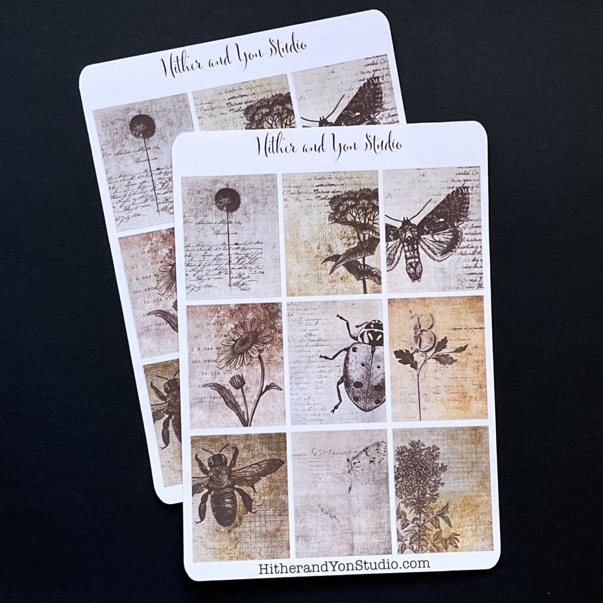 Grungy Sticker Sheets - Flora and Bugs - Hither and Yon Studio