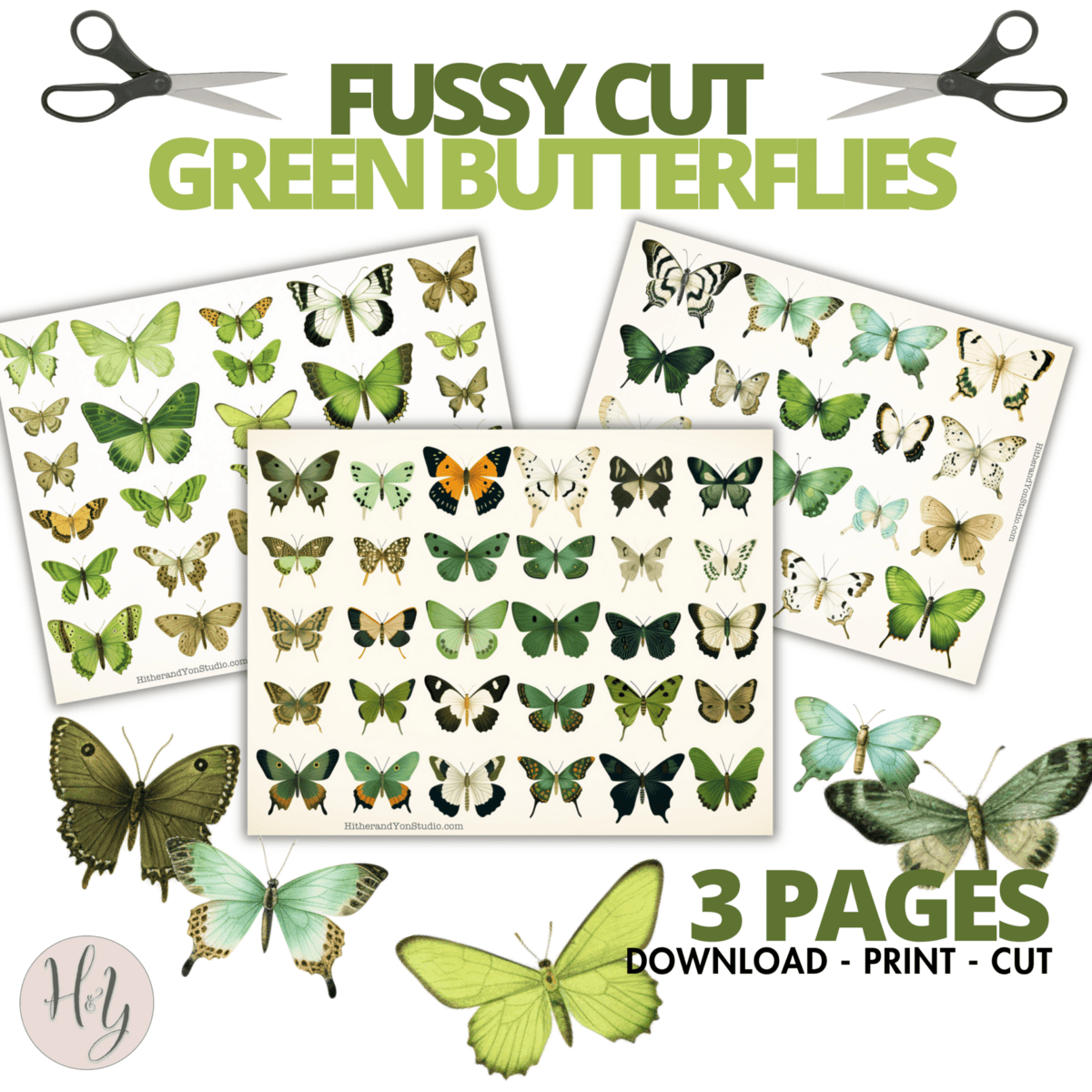 Hither and Yon Studio - Hither and Yon Studio